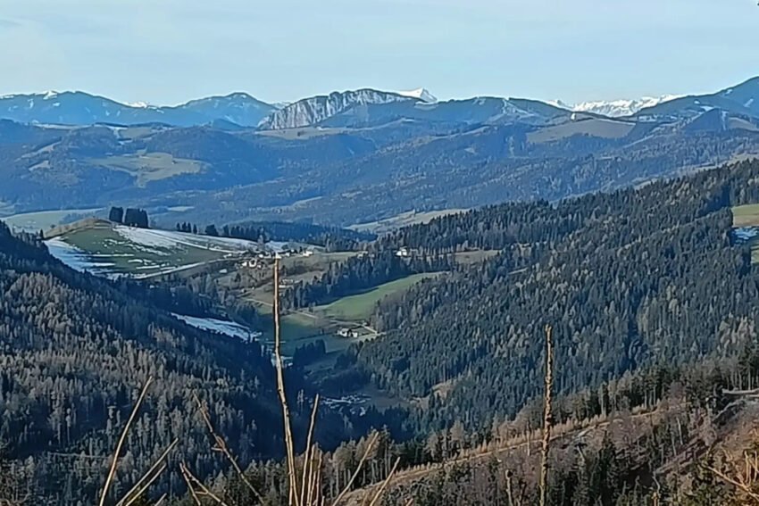 Hohe Zetz (1.264m) von Anger aus • Wandern in der Oststeiermark