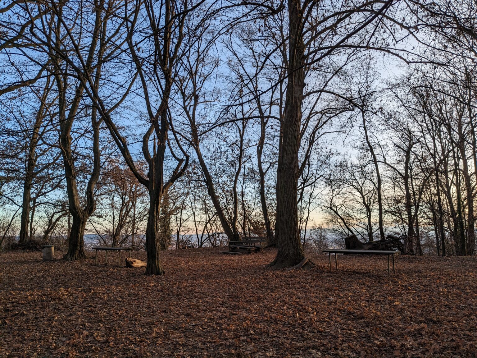 Rosenhain mit Ferdinandhöhe und Reinerkogel • Stadtwanderweg