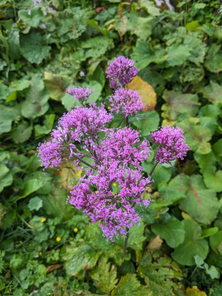 Hesshütte – Wanderung von Johnsbach • Wandern im Gesäuse