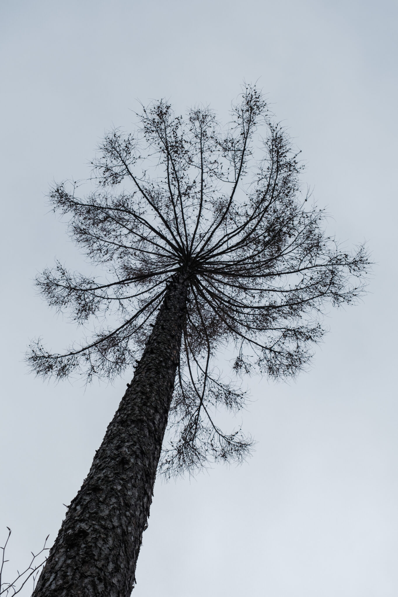 Wildon Buchkogel und Schlossberg Rundwanderung • Wandern in der ...