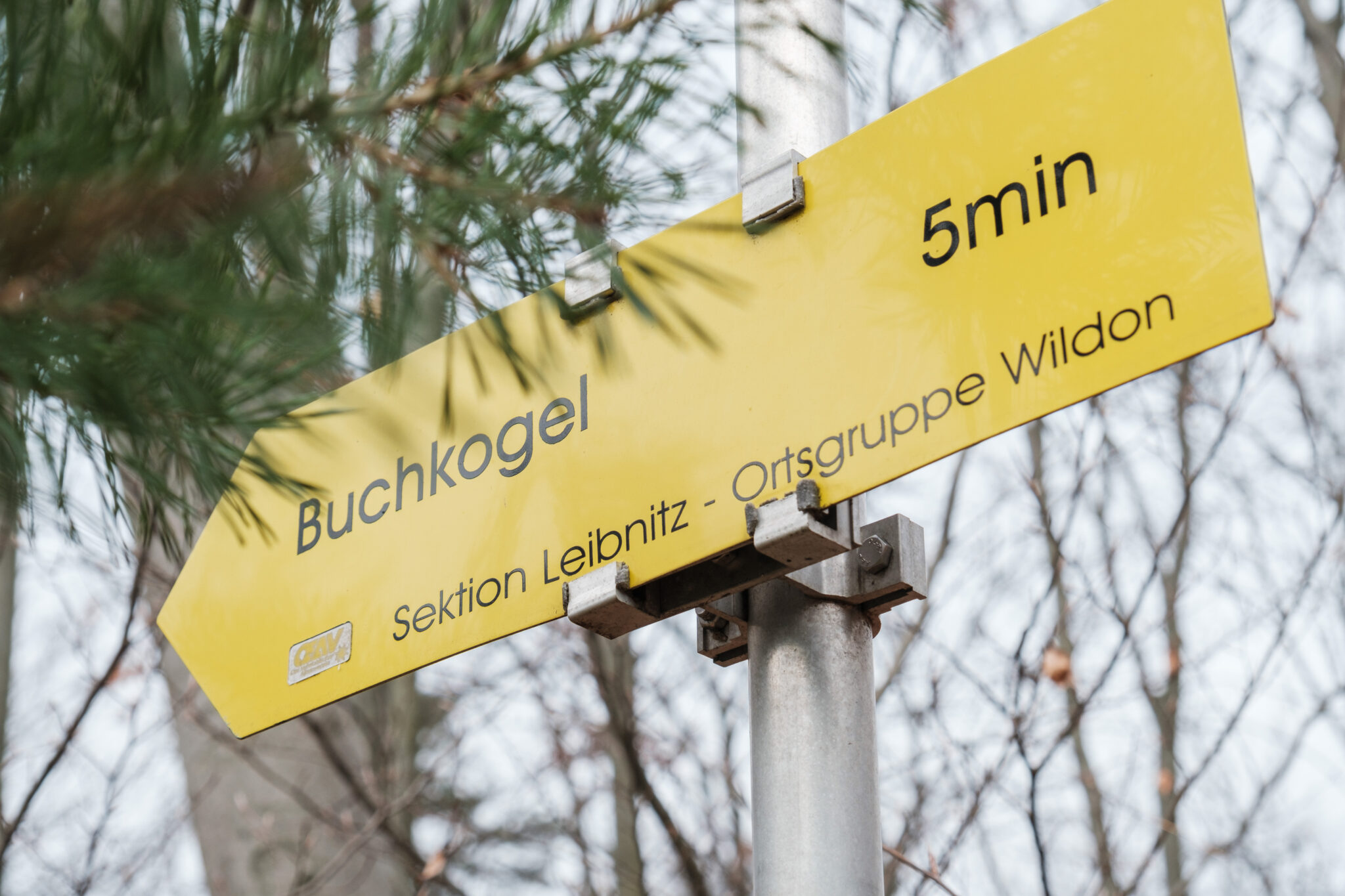 Wildon Buchkogel und Schlossberg Rundwanderung • Wandern in der ...