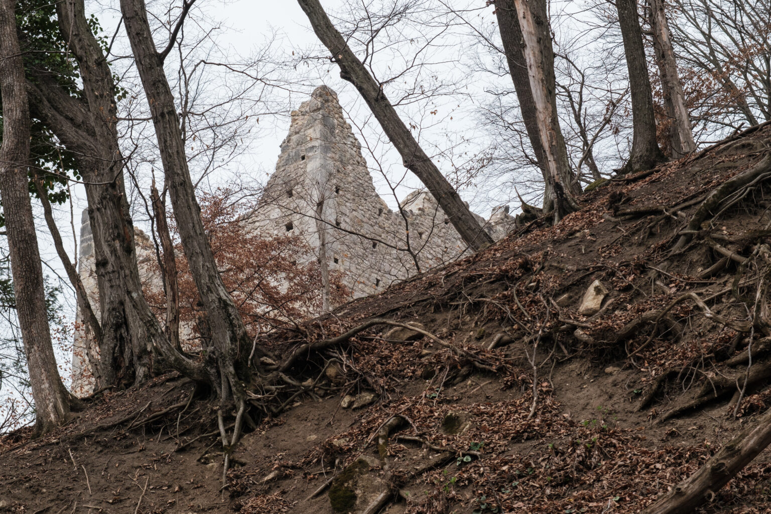 Wildon Buchkogel und Schlossberg Rundwanderung • Wandern in der ...