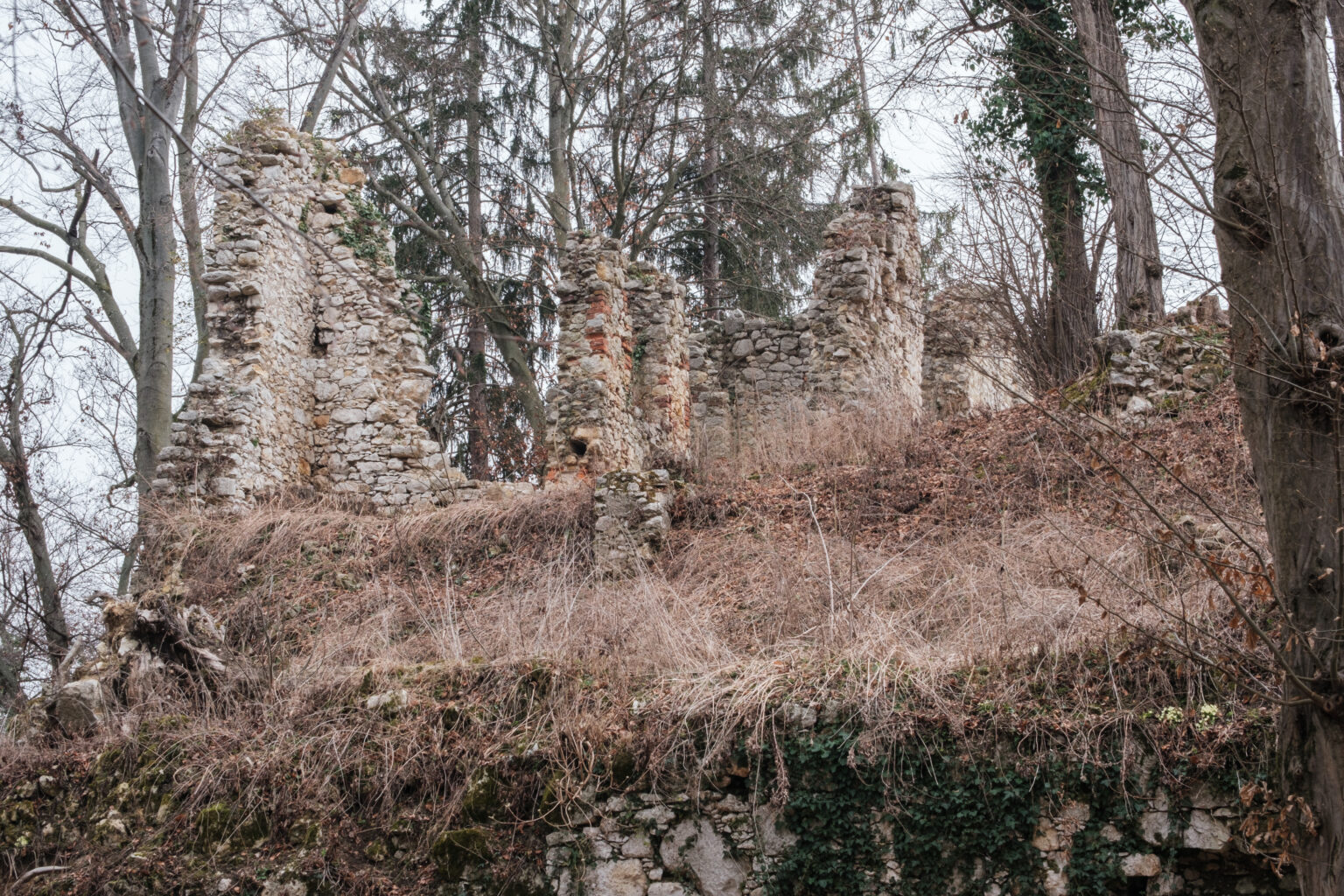 Wildon Buchkogel und Schlossberg Rundwanderung • Wandern in der ...