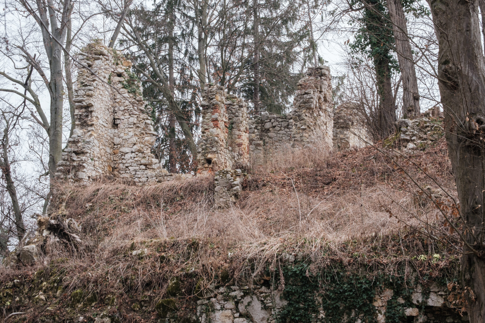 Wildon Buchkogel und Schlossberg Rundwanderung • Wandern in der ...