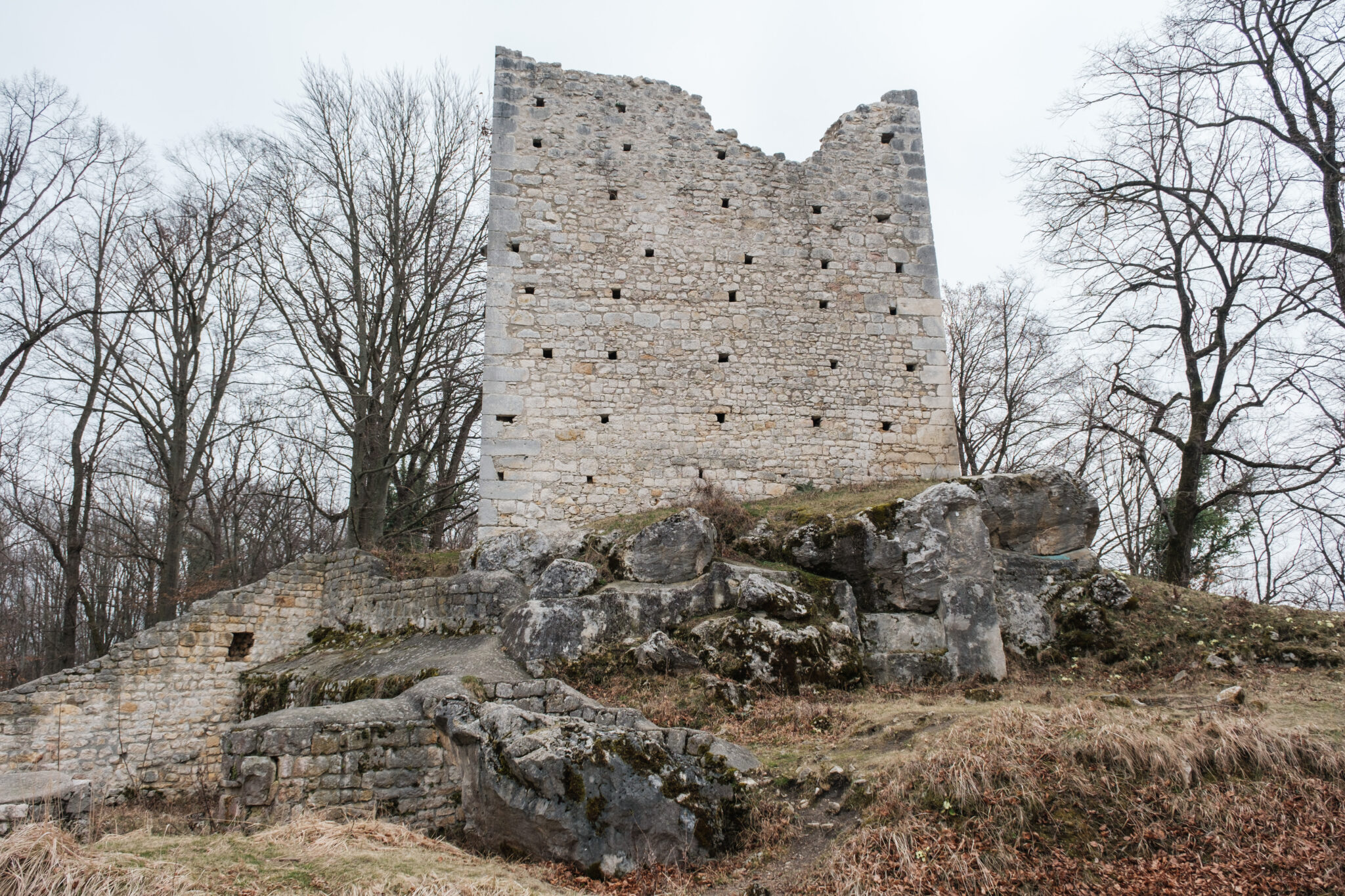 Wildon Buchkogel und Schlossberg Rundwanderung • Wandern in der ...