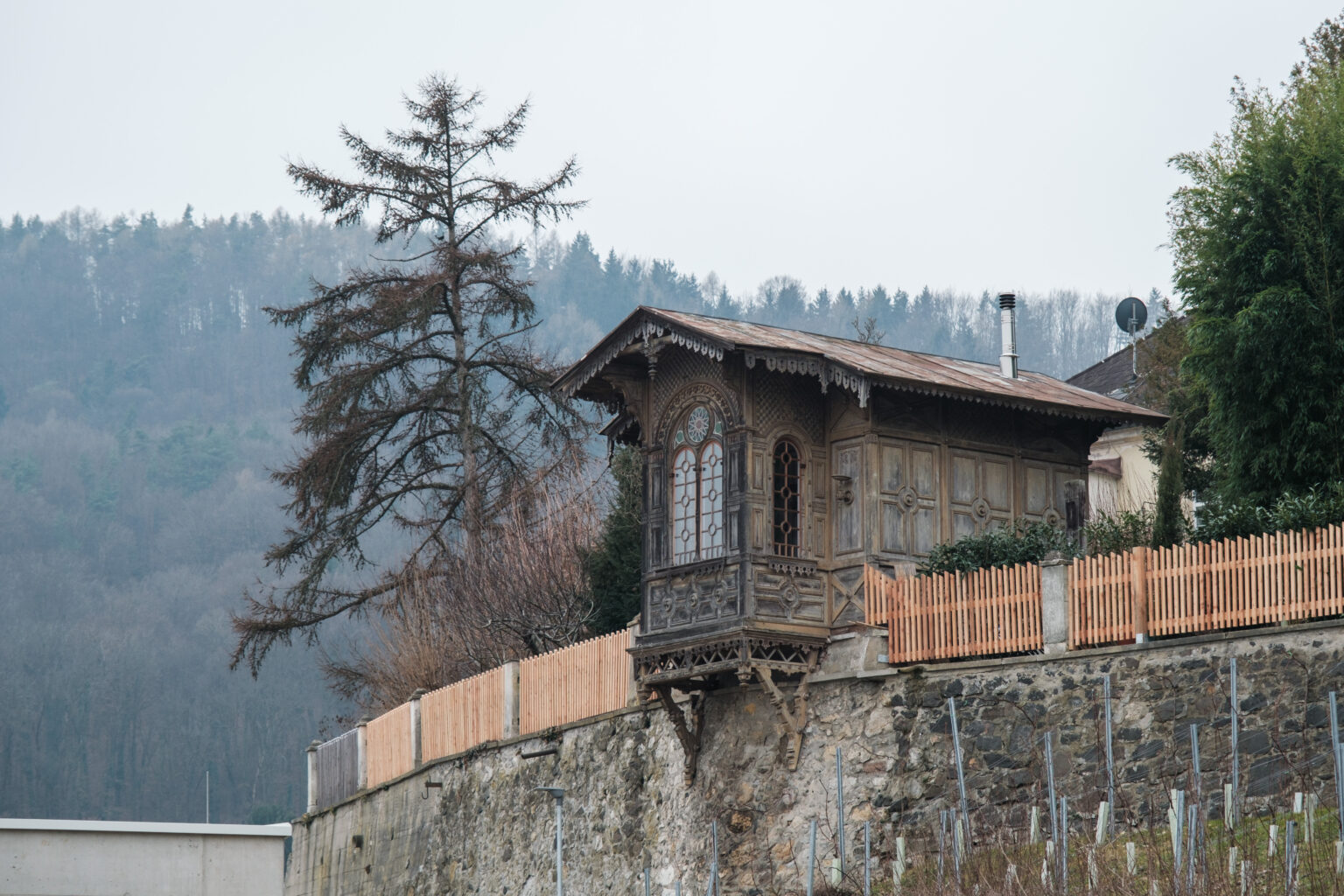 Wildon Buchkogel und Schlossberg Rundwanderung • Wandern in der ...