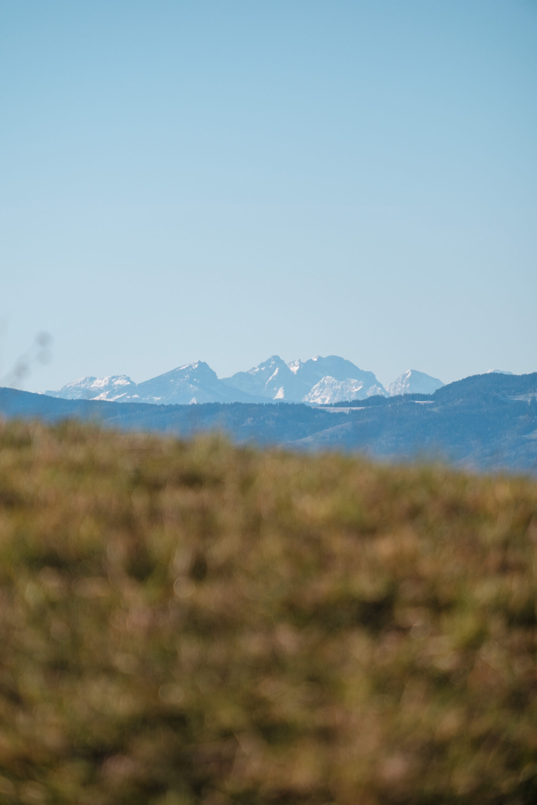 Demmerkogel Wanderung – Rundweg bei Kitzeck im Sausal • Südsteiermark