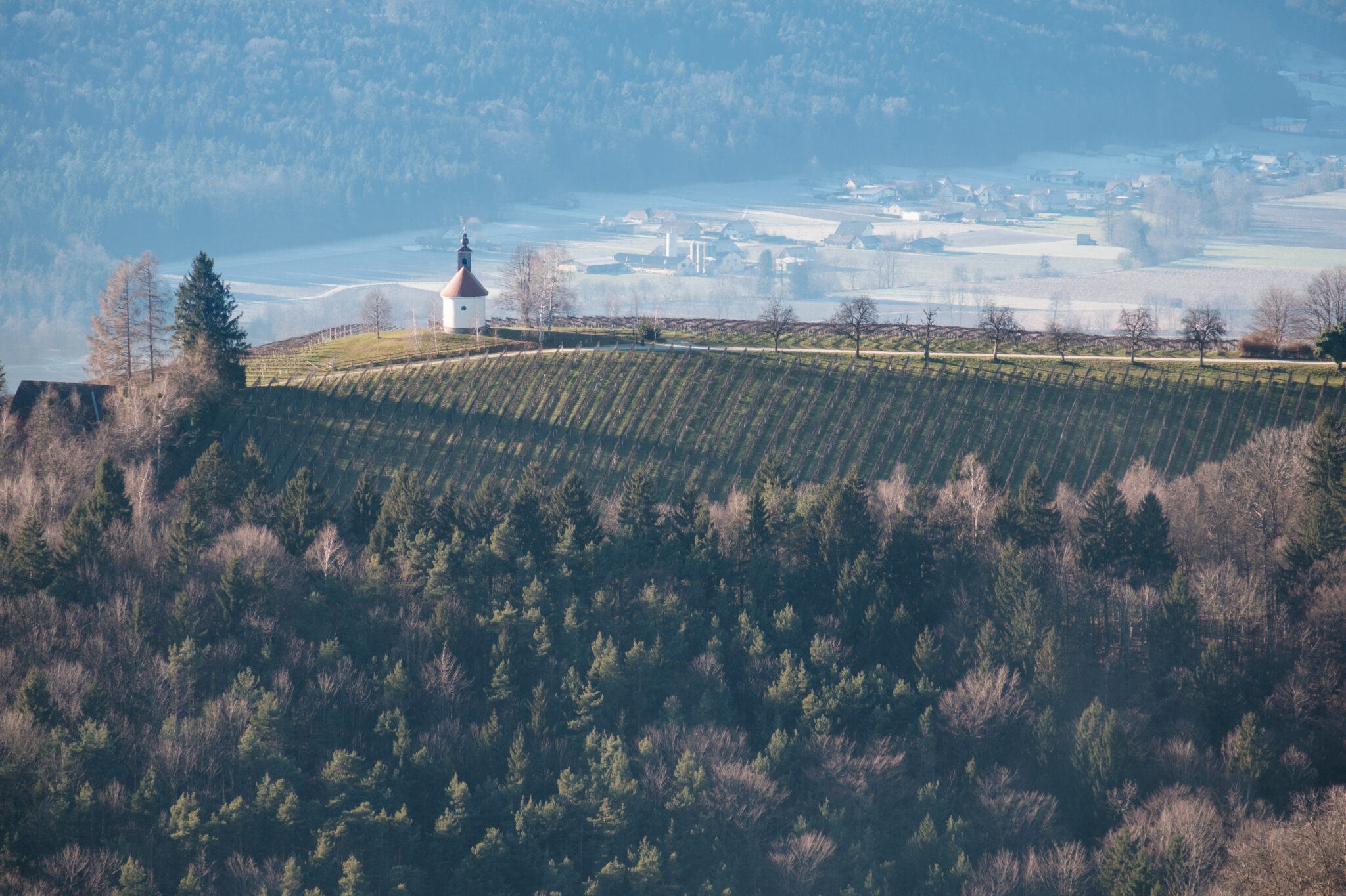 Demmerkogel Wanderung – Rundweg bei Kitzeck im Sausal • Südsteiermark