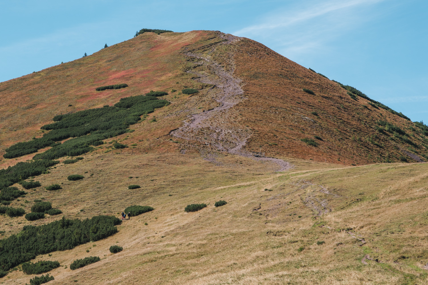 Polster (1.908 m) – Wanderung vom Präbichl als Rundweg • Erzberg-Leoben